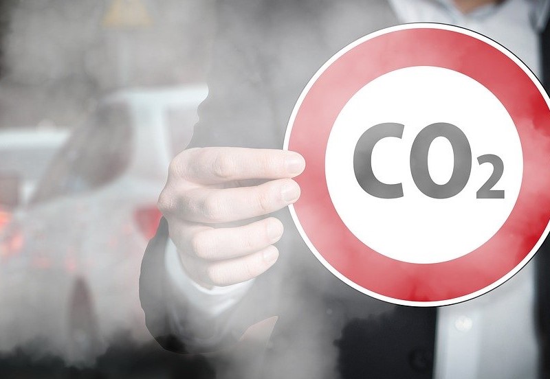 LIKWIDACJA SZKÓD - Mentax